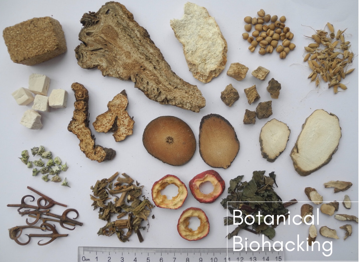 Botanically Biohacking your Digestion - Modern Acupuncture